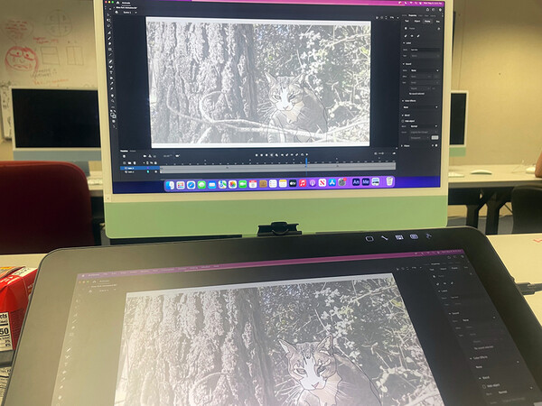 Steps To Create Own Animation