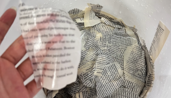 The Journey of Recycled Paper