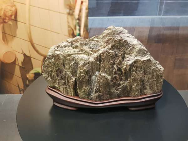 What I Saw in Parasite Posters